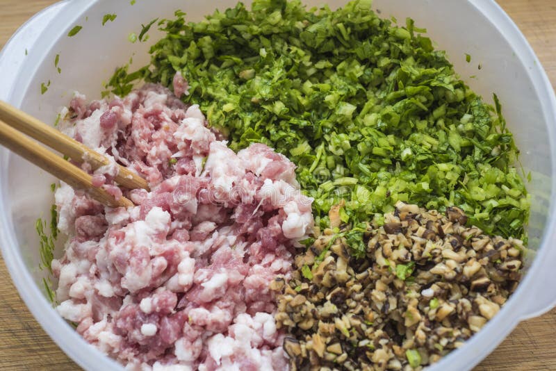Dumpling stuffing stock photo. Image of health, kitchen - 73489110