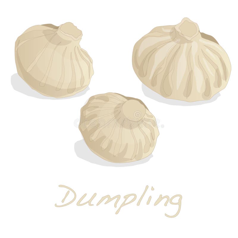 Dumpling Vector Illustration. Stock Vector - Illustration of delicious ...