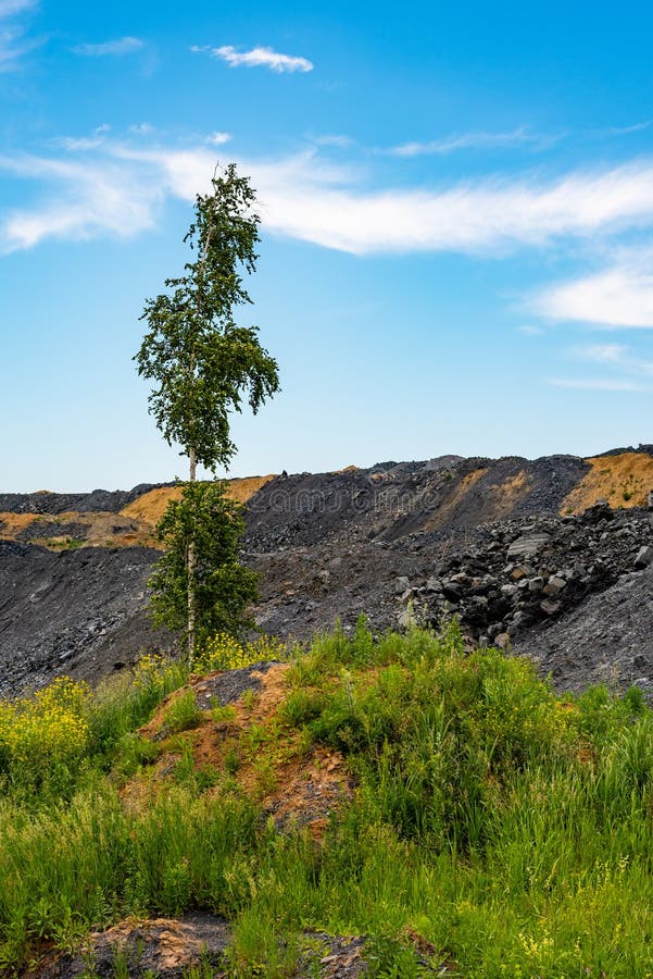181 Coal Mining Waste Pile Photos - Free & Royalty-Free Stock Photos ...