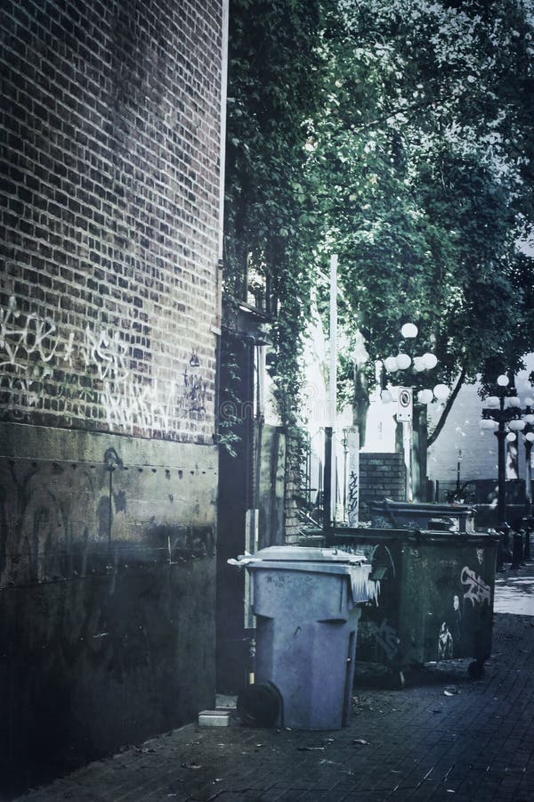 Dumpster on the alley stock photo. Image of texture, plastic - 71156102