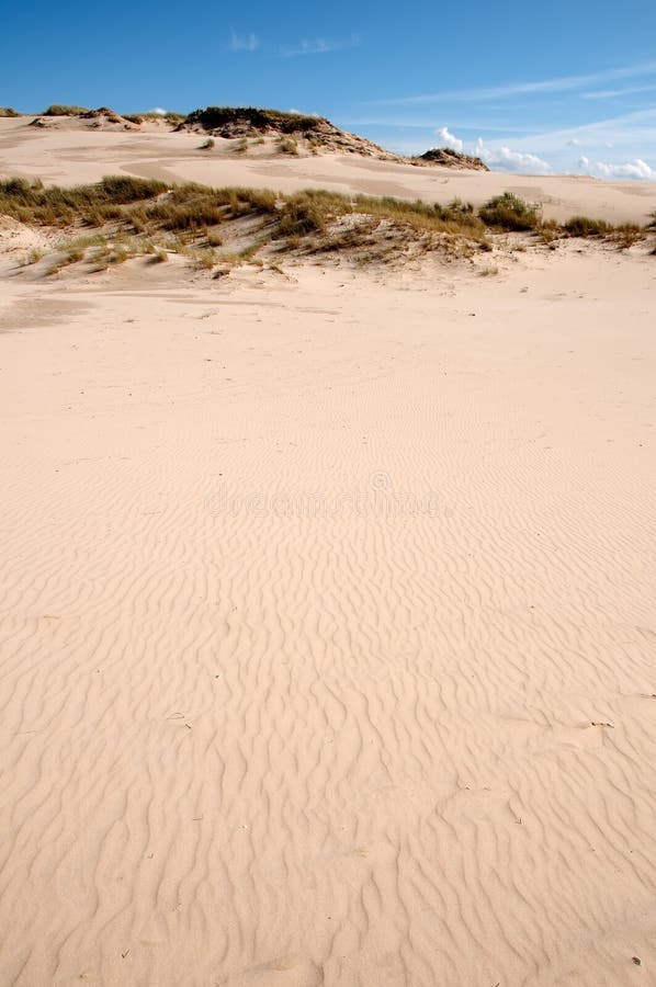 Duna imagen de archivo. Imagen de destinaciones, vacaciones - 10835141