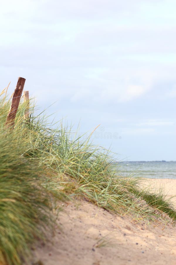 Duna costera imagen de archivo. Imagen de costero, hierba - 30921987