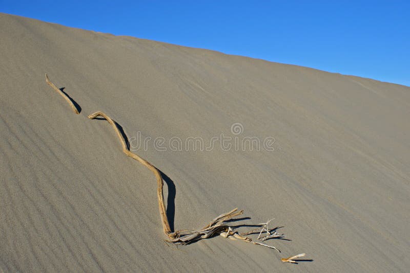 Duna De Arena En Death Valley Foto de archivo - Imagen de duna, azul ...