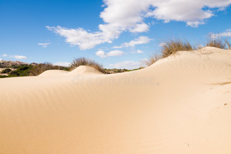 Dunas costeras imagen de archivo. Imagen de arenoso, océano - 31180609