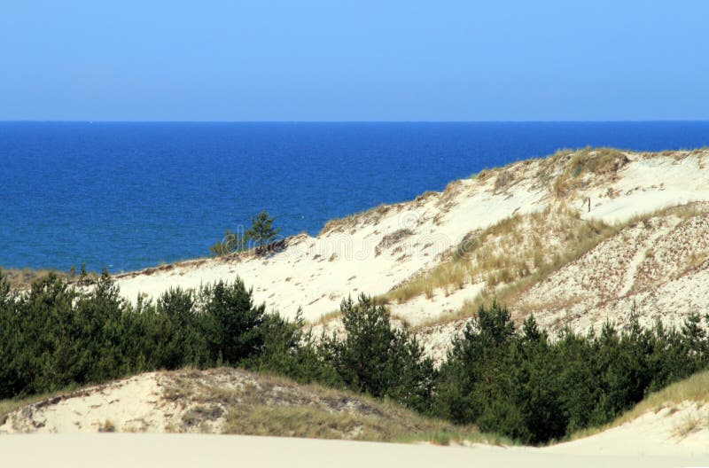 Dunas de arena imagen de archivo. Imagen de polonia, ambiente - 10258237