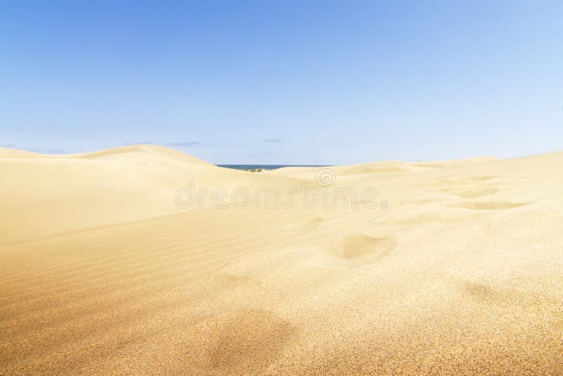 Dunas De Arena En La Playa En Maspalomas. Imagen de archivo - Imagen de ...