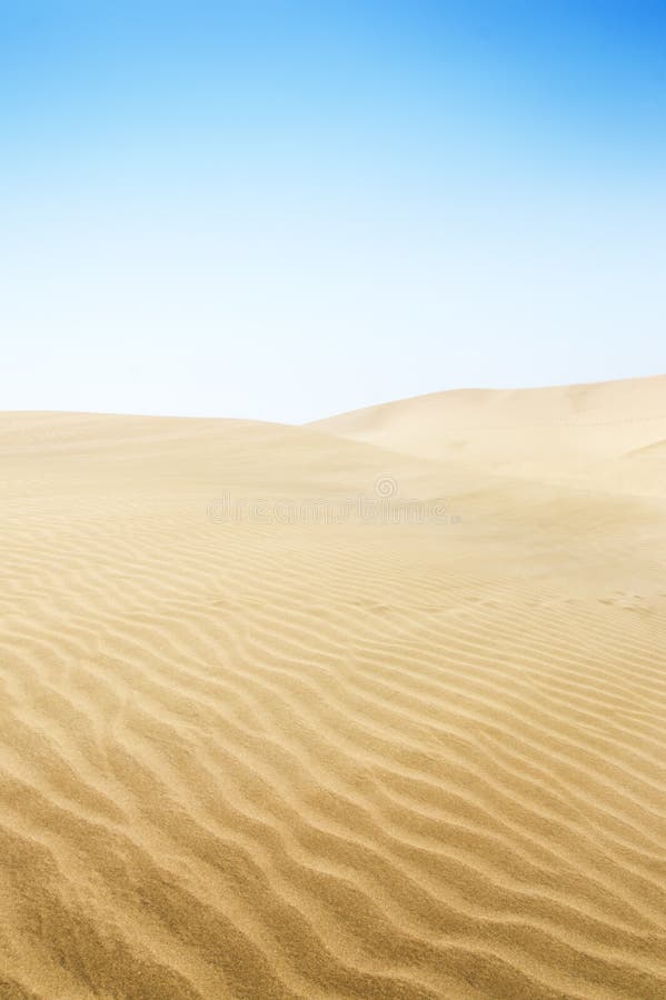 Dunas De Arena En La Playa En Maspalomas. Imagen de archivo - Imagen de ...