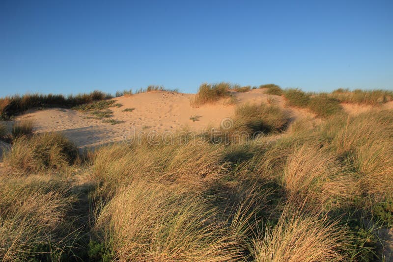 Dunas De Arena En Una Playa Foto de archivo - Imagen de playa, ocio ...