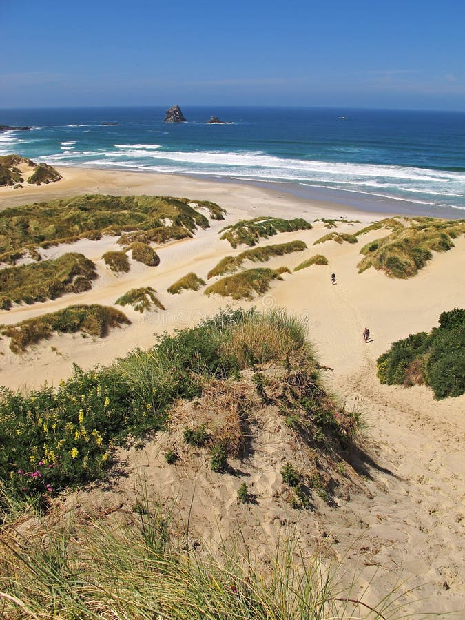 Dunas De La Playa Y De Arena Imagen de archivo - Imagen de cubo ...