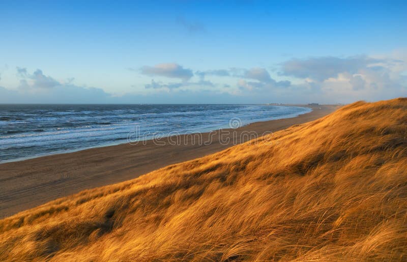 Dunas En La Playa Imagen. Imagen: 821134