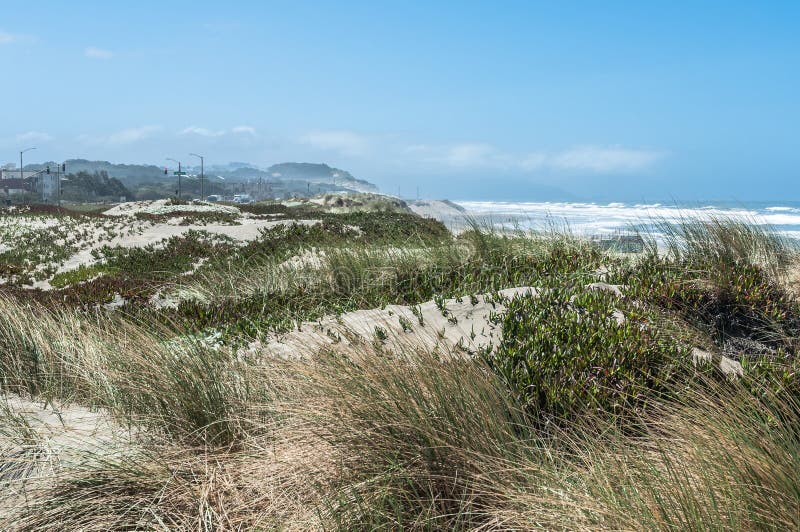 Dunas Na Praia Do Oceano, San Francisco Foto de Stock - Imagem de ...