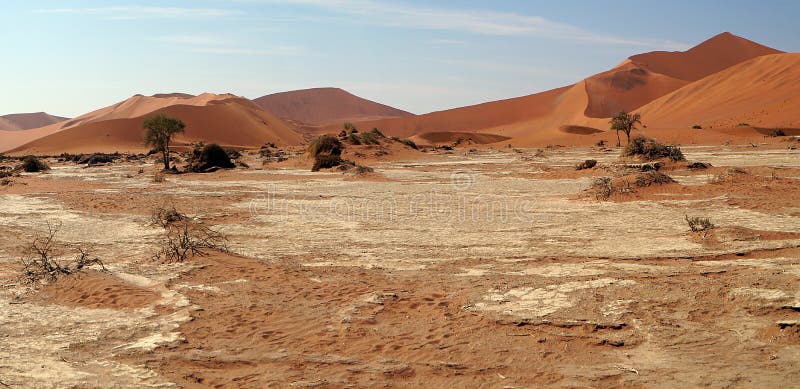 Dunas Sossusvlei Namib Desierto Namibia Foto de archivo - Imagen de ...
