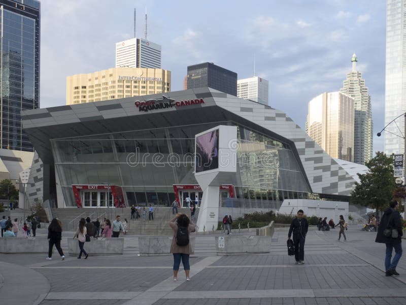 Dundas Square - Toronto, Canada Editorial Stock Photo - Image of ...