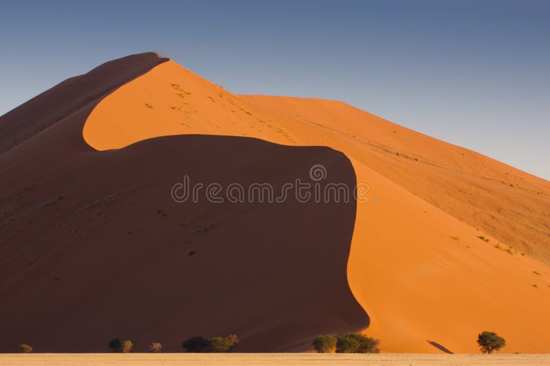 Deadvlei (Namib desert) stock photo. Image of dead, namib - 5136838