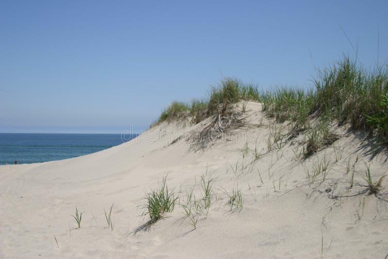 Dune stock image. Image of nature, summer, wilderness, green - 664055