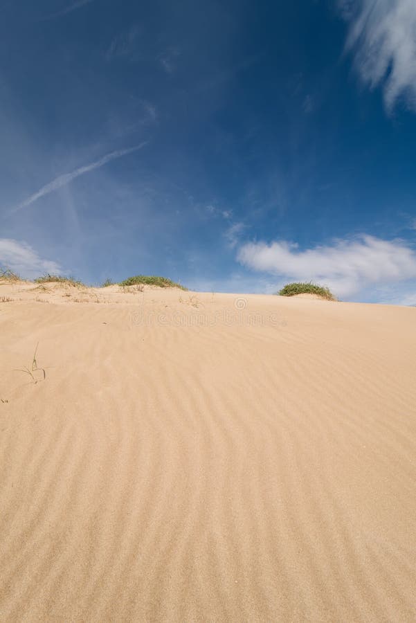 Dune abstract stock image. Image of copy, hunch, tall - 31216869