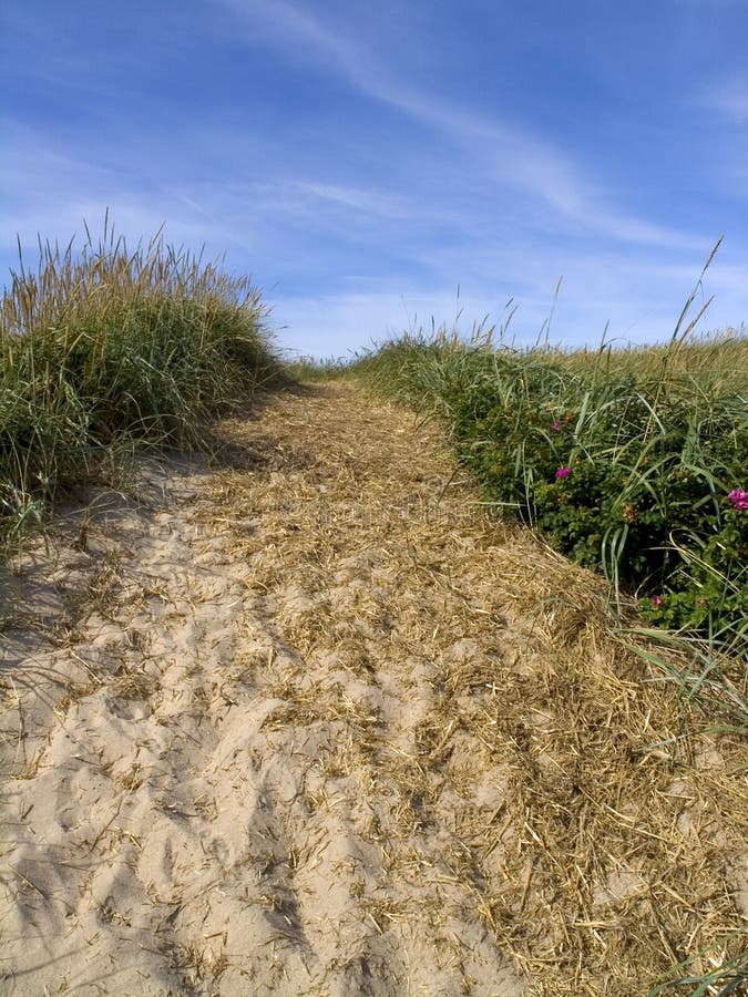 Dune De Sable De Croisement De Chemin Image stock - Image du extérieur ...