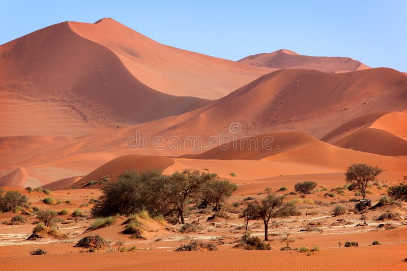 Dune De Sable Rouge, Sossusvlei, Namibie Image stock - Image du course ...