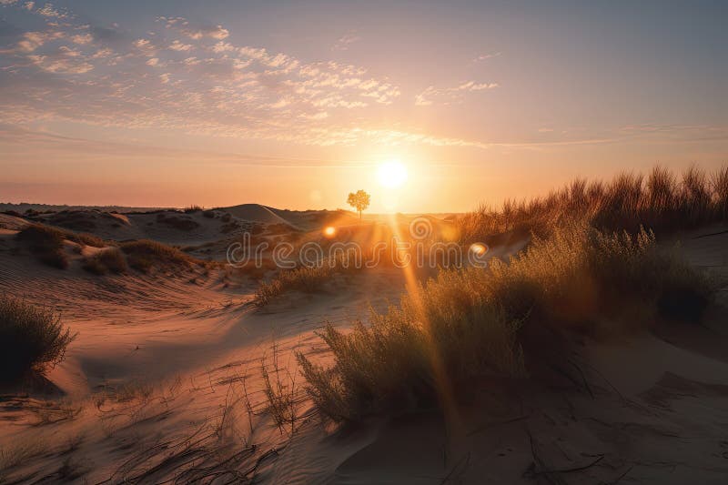 Dune Field, with the Sun Rising Behind the Dunes Stock Image - Image of ...