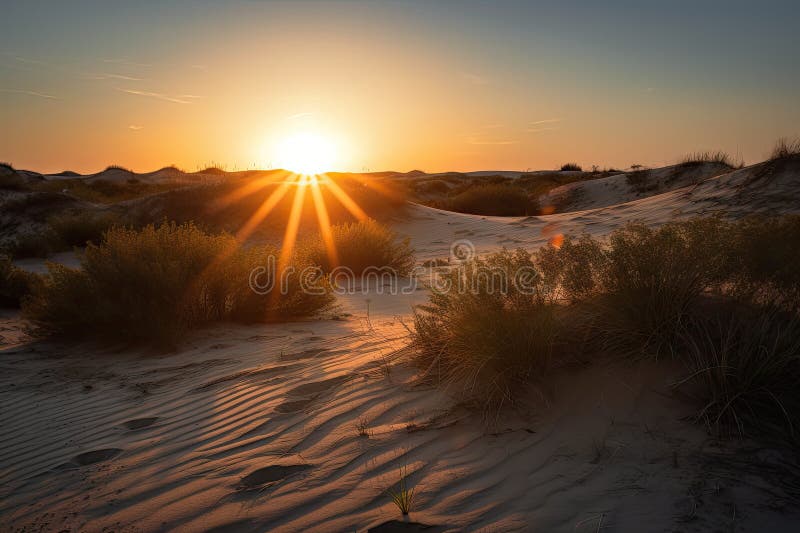 Dune Field, with the Sun Rising Behind the Dunes Stock Illustration ...