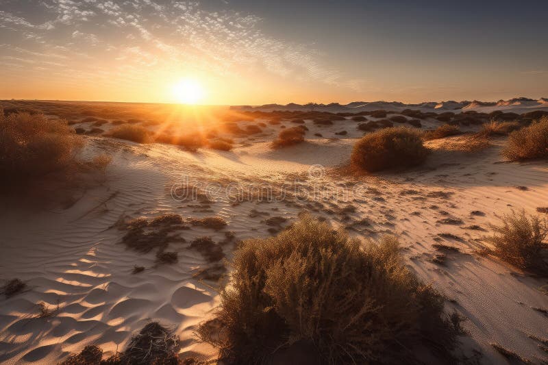 Dune Field, with View of the Setting Sun, Casting a Warm Glow on the ...