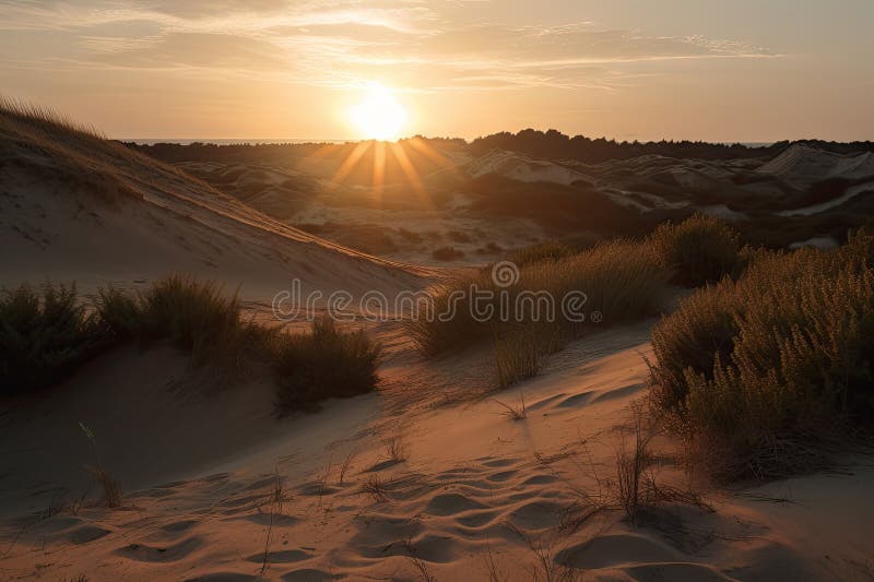 Dune Field, with View of the Setting Sun, Casting a Warm Glow on the Landscape Stock ...