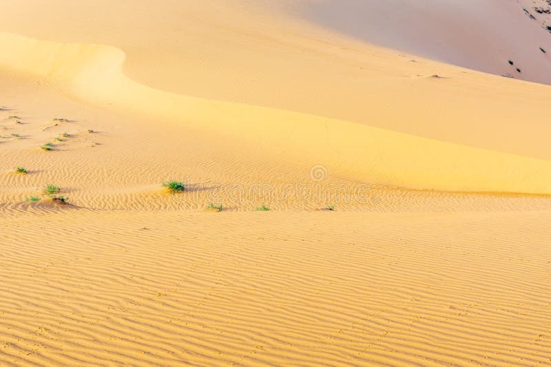 Sand Dunes in the Center of Vietnam Stock Image - Image of shape, sunny ...
