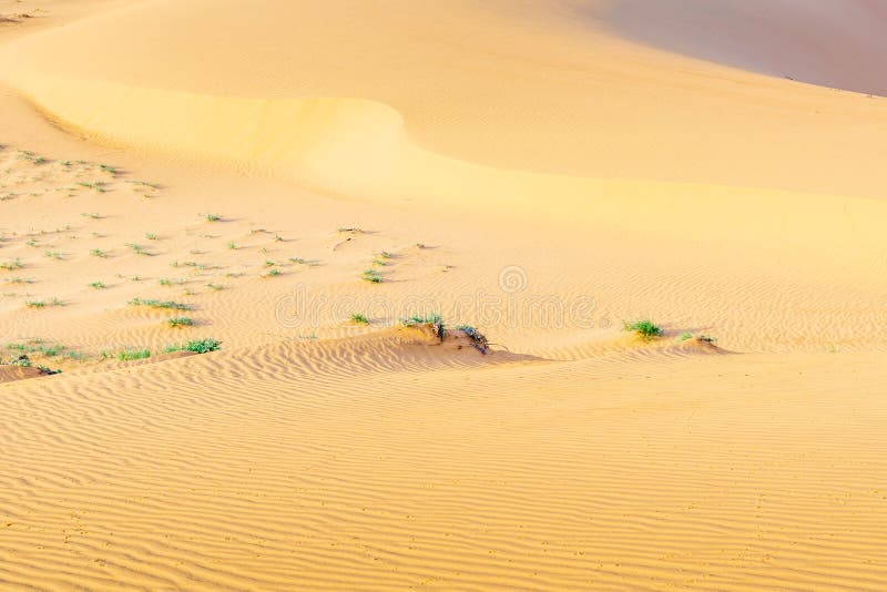 Sand Dunes in the Center of Vietnam Stock Photo - Image of sunny ...