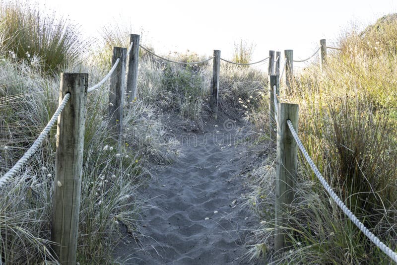 Dune path NZ stock image. Image of beach, path, shore - 264465435
