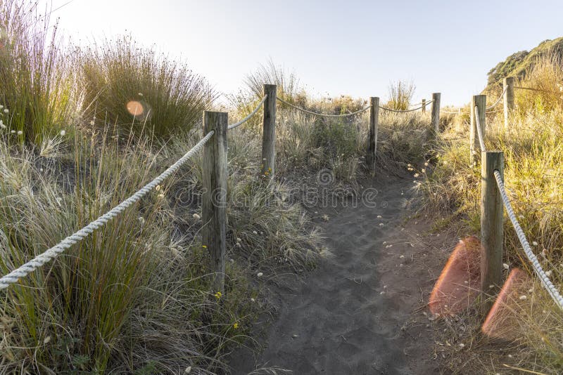 Dune path NZ stock photo. Image of sunny, walk, walkway - 264465474
