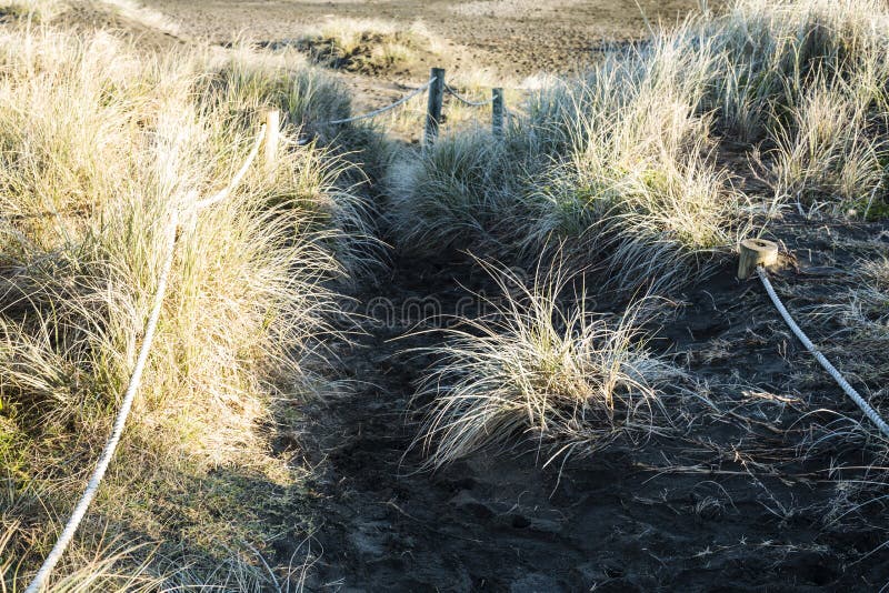 Dune Path stock image. Image of beach, coast, walkway - 56619089