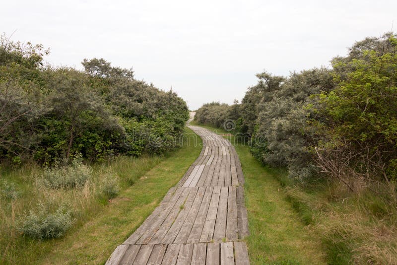 Dune path stock photo. Image of footpath, contemplation - 58645486