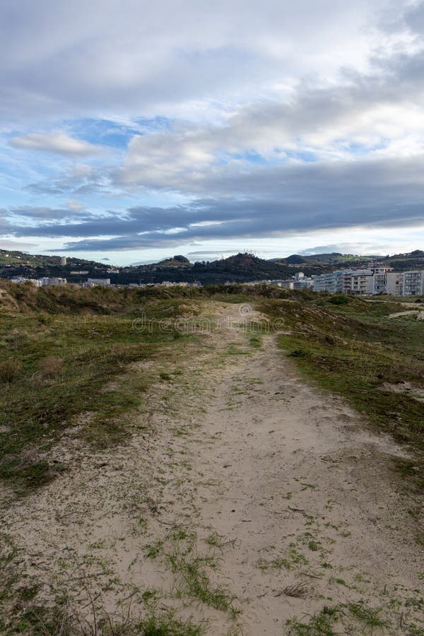 Dune Path Serenity: Discovering Tranquility on the Coastal Trail of ...
