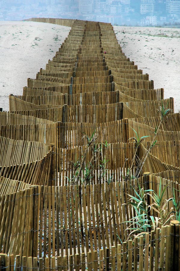 Dune protection stock photo. Image of wood, outdoor, plants - 18320044