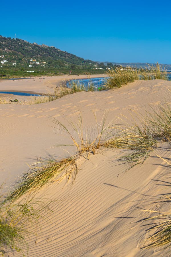 Dune of Punta Paloma, Tarifa, Andalusia, Spain Stock Photo - Image of ...