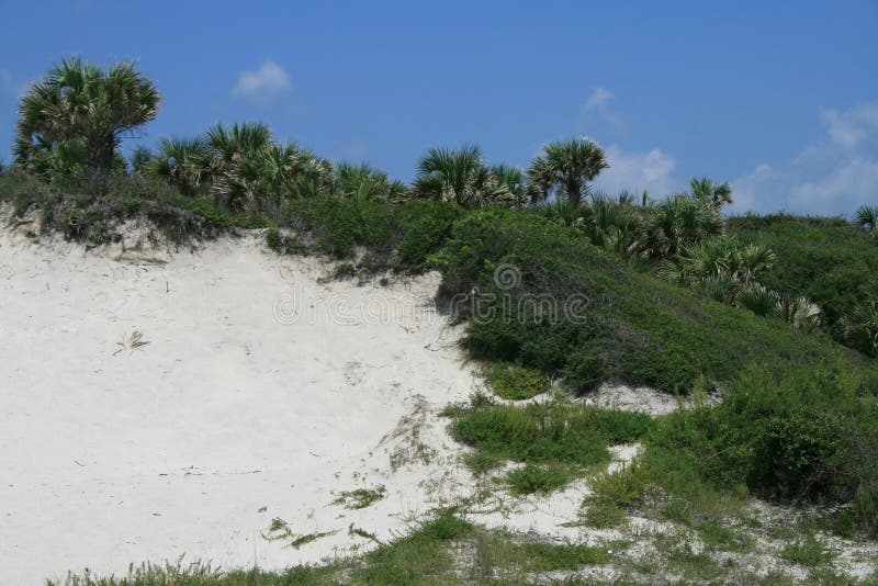 Dune scape stock photo. Image of seaoat, coastline, seaoats - 10433398