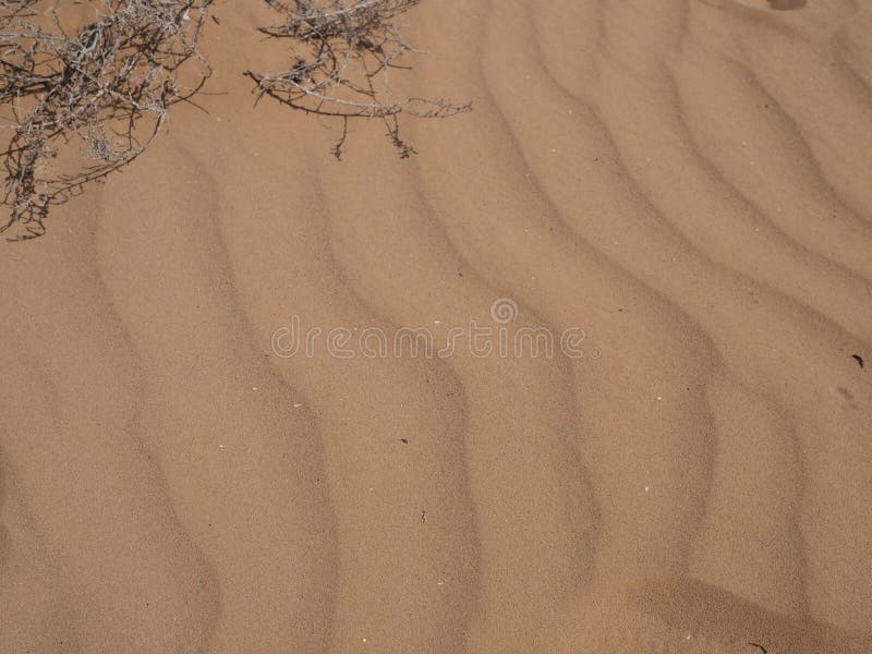 Dune Waves and Sand Pattern. Wave, Sand Dunes, Dry Desert, Brown or ...
