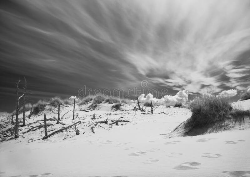 Dunes stock image. Image of leba, landscape, loneliness - 2110617