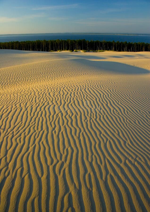 Longitudinal Waves Stock Photos - Free & Royalty-Free Stock Photos from ...