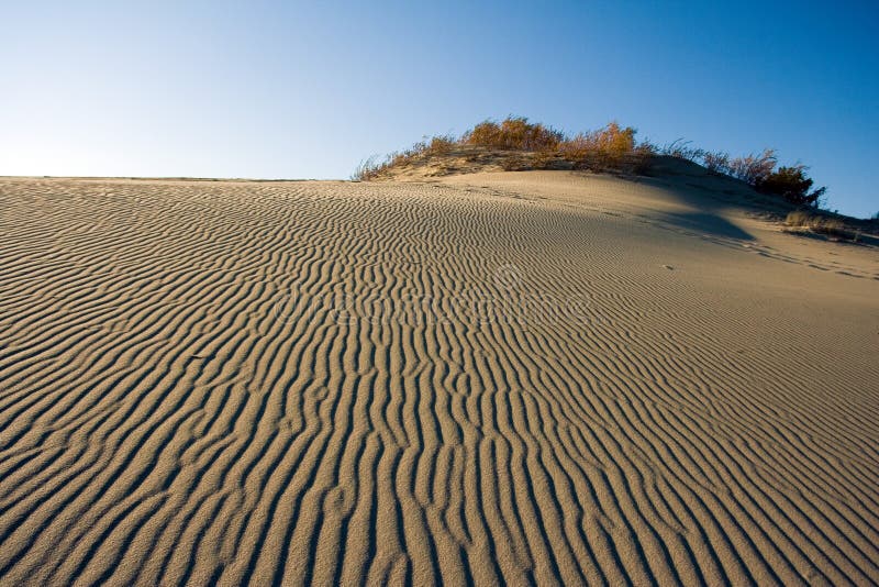 Dunes stock photo. Image of nida, horizont, sand, texture - 321204