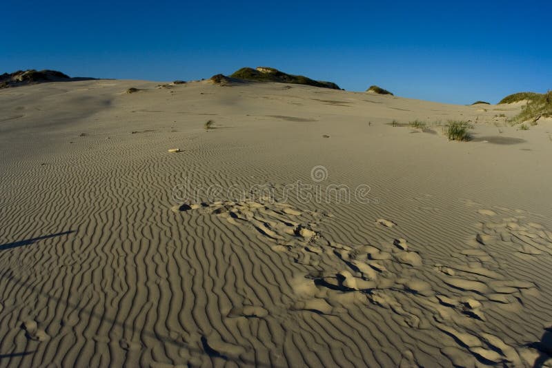 Path in the Sand Dunes at Sunset Stock Photo - Image of dunes, vacation ...