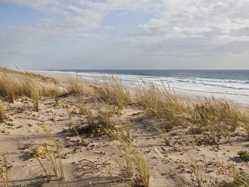 Dunes on Atlantic Coast of France Stock Image - Image of france, sand ...