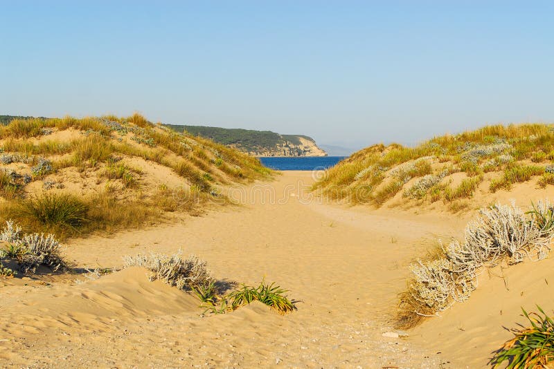 Dunes in the beach stock photo. Image of spain, cape - 50745600