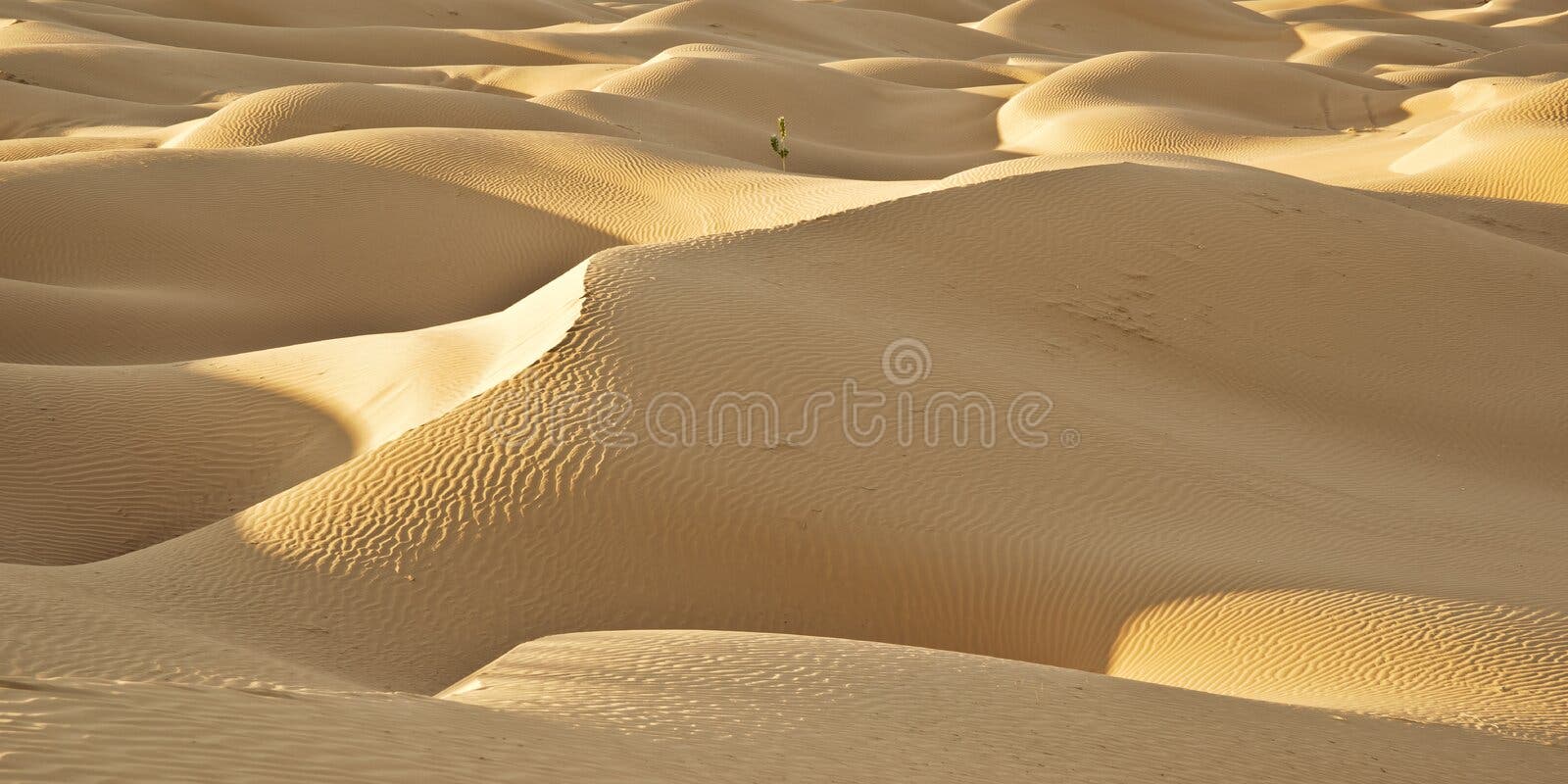 Morocco Desert stock photo. Image of salida, sand, desierto - 28882484