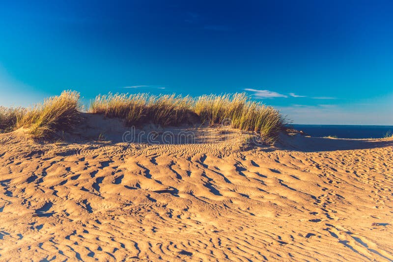 Dunes stock image. Image of grass, dene, wilderness, ground - 64298285