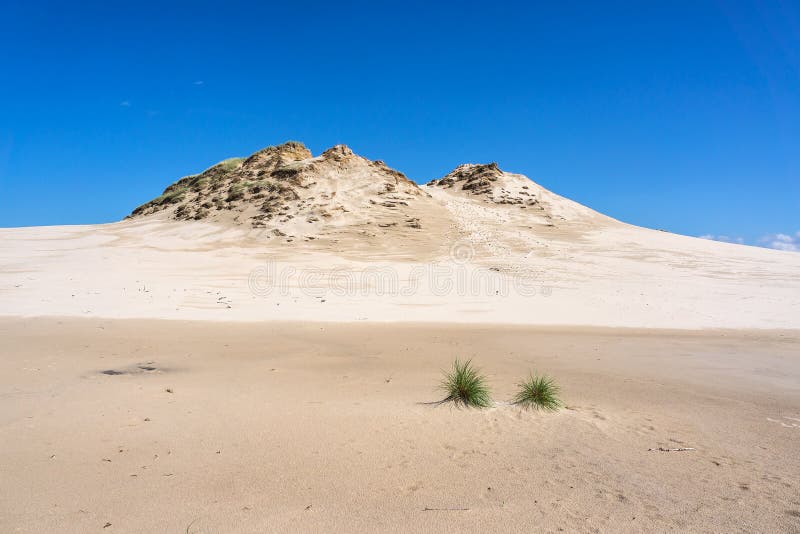 Dunes in Leba, Poland. stock image. Image of coast, national - 27379155