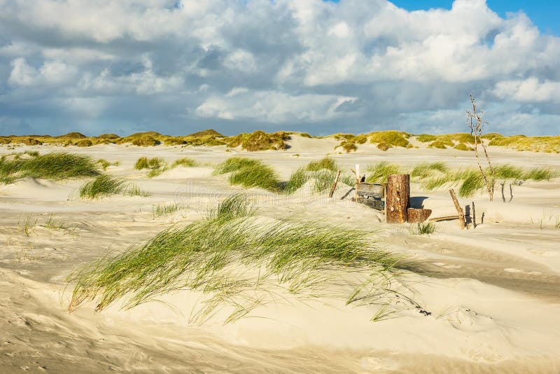 Dunes on the North Sea Coast on the Island Amrum, Germany Stock Photo ...