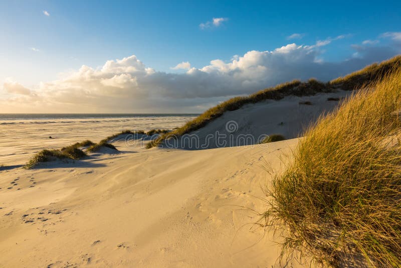 Dunes on the North Sea Coast on the Island Amrum, Germany Stock Image ...