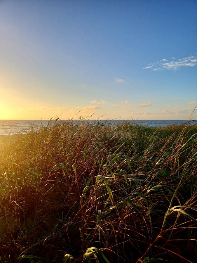 Dunes and ocean stock photo. Image of ocean, sand, grass - 131235548