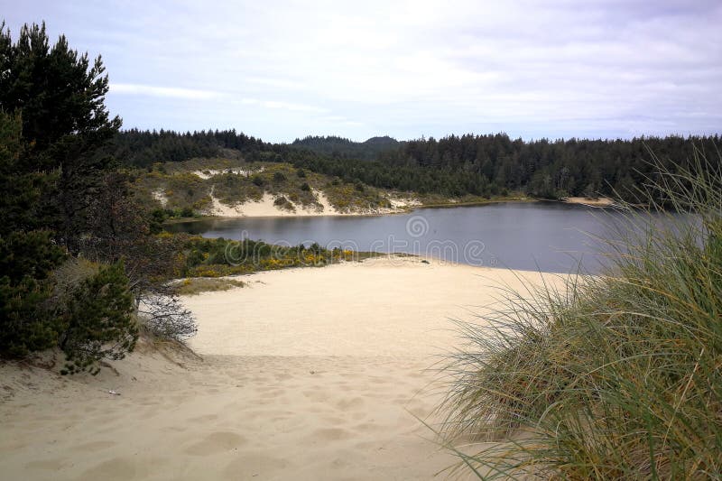 Dunes in Oregon stock photo. Image of holiday, cloudy - 177727270